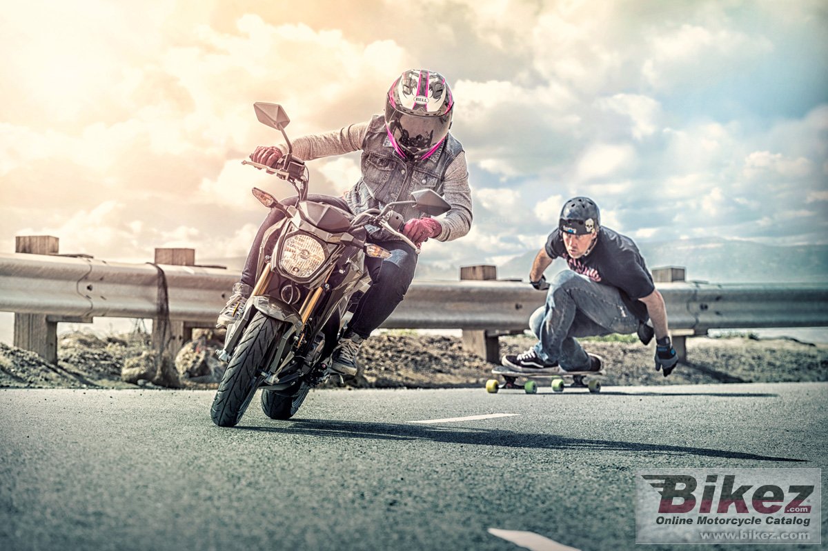 Kawasaki Z125 Pro poster